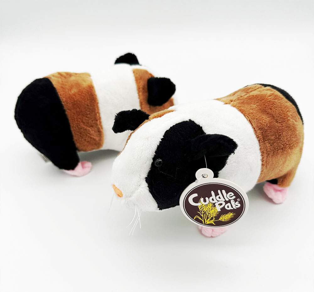 SA103 – Cuddle Buddies Guinea Pig – Jack in the Box