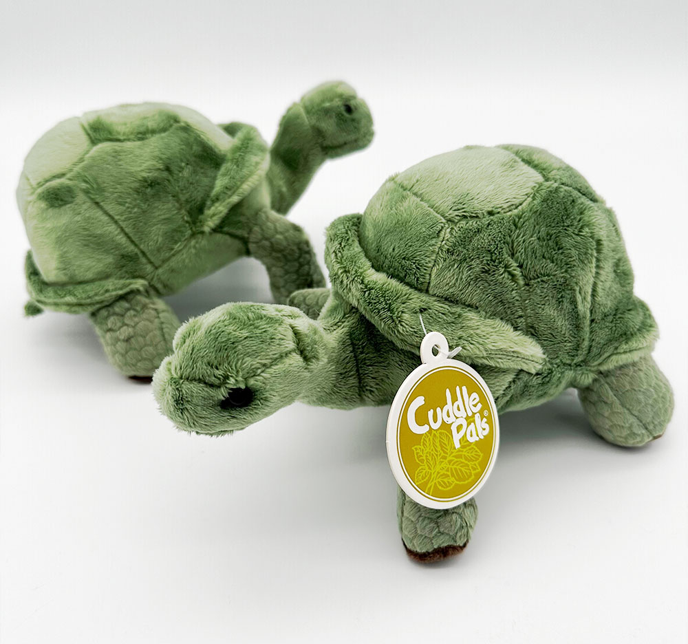 SA110 – Cuddle Buddies Tortoise – Jack in the Box